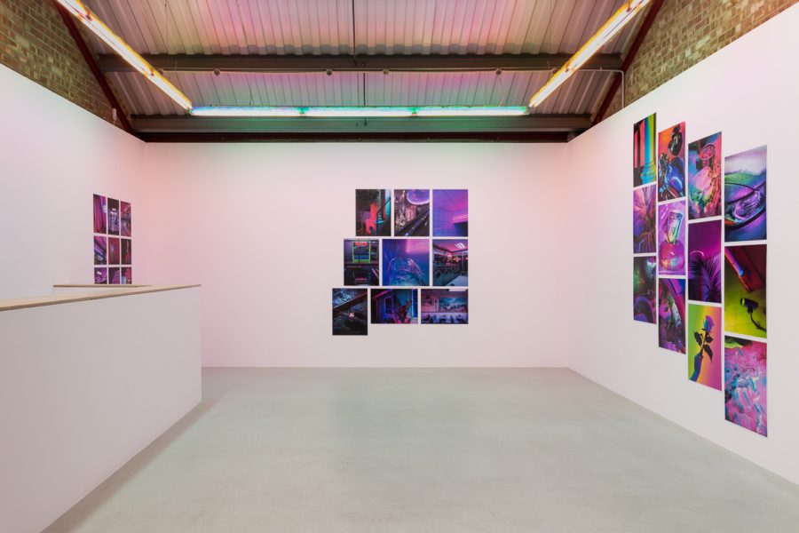 SIGNE PIERCE : FAUX REALITIES | ANNKA KULTYS GALLERY