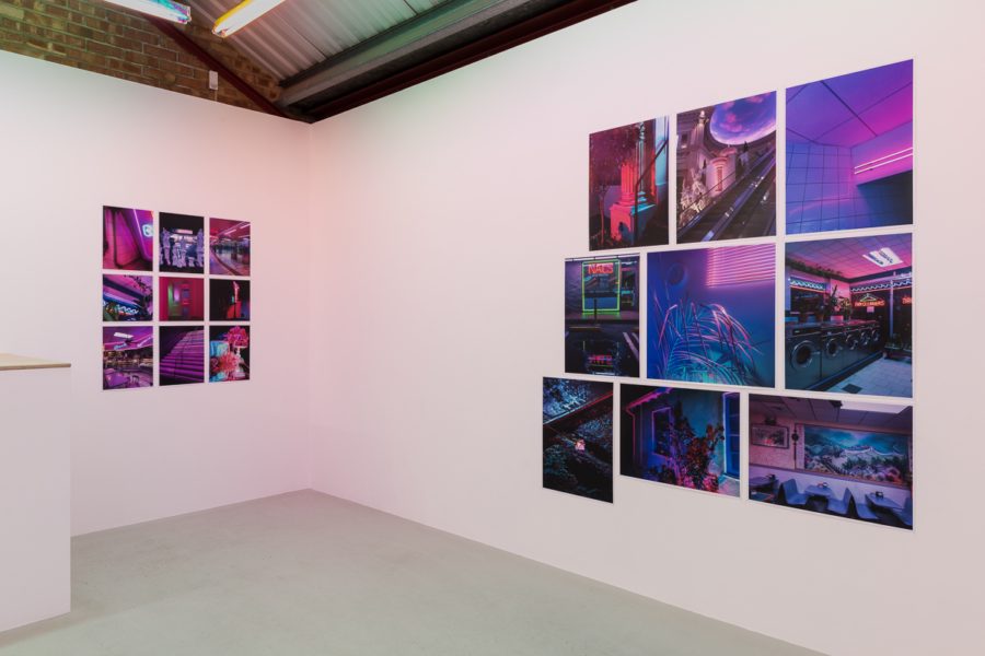 SIGNE PIERCE : FAUX REALITIES | ANNKA KULTYS GALLERY