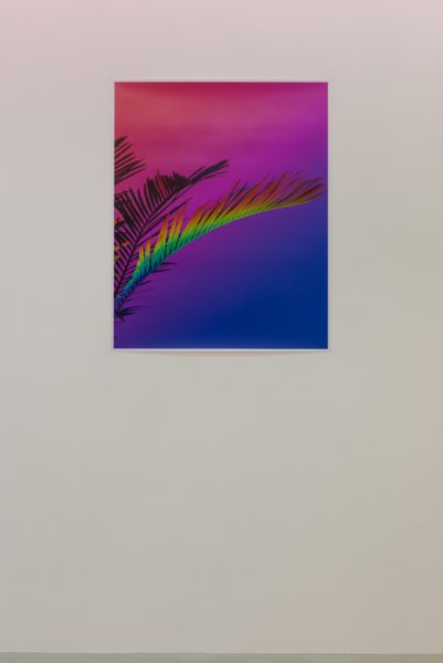 SIGNE PIERCE : FAUX REALITIES | ANNKA KULTYS GALLERY