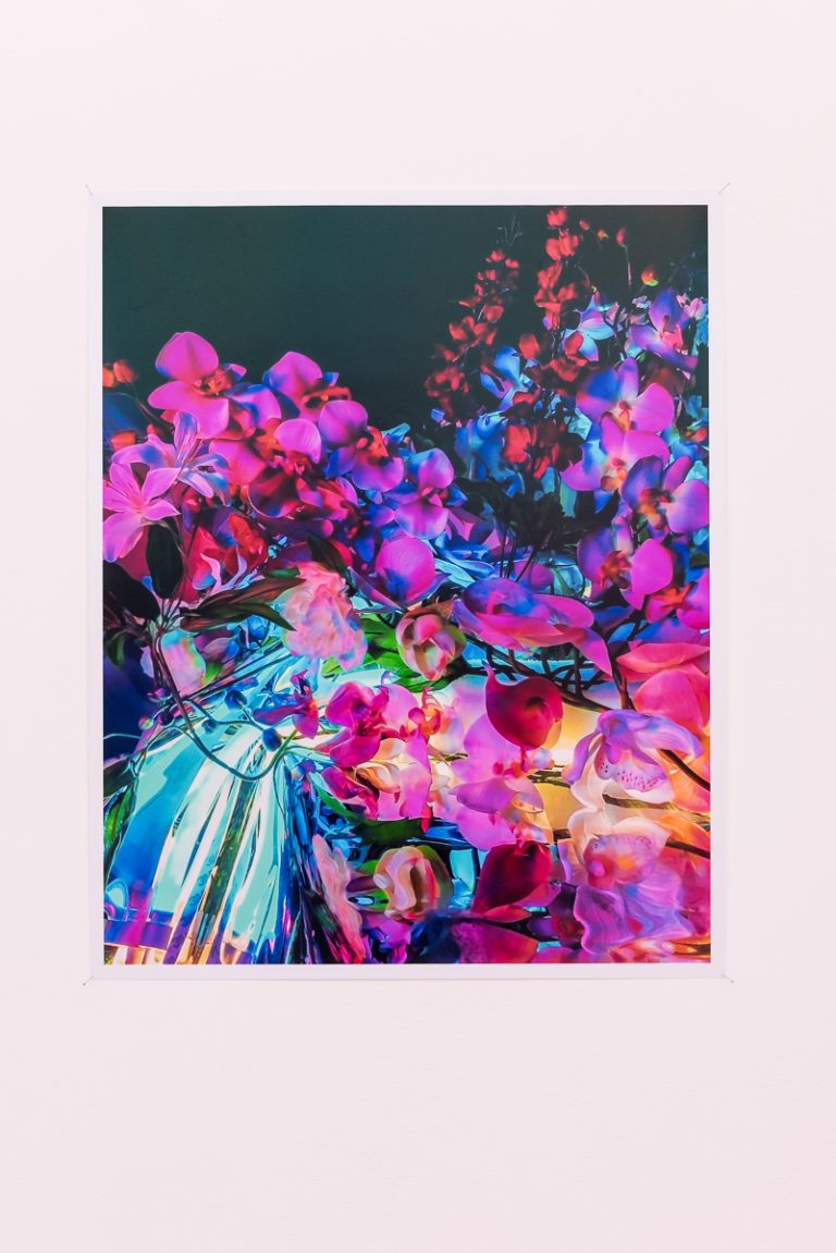 SIGNE PIERCE : FAUX REALITIES | ANNKA KULTYS GALLERY