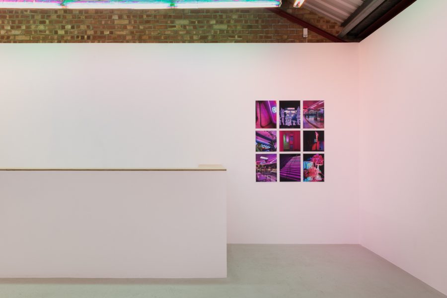 SIGNE PIERCE : FAUX REALITIES | ANNKA KULTYS GALLERY