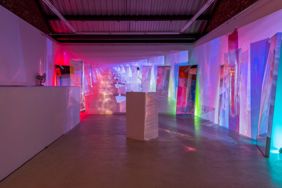 SIGNE PIERCE : METAMIRRORISM | ANNKA KULTYS GALLERY