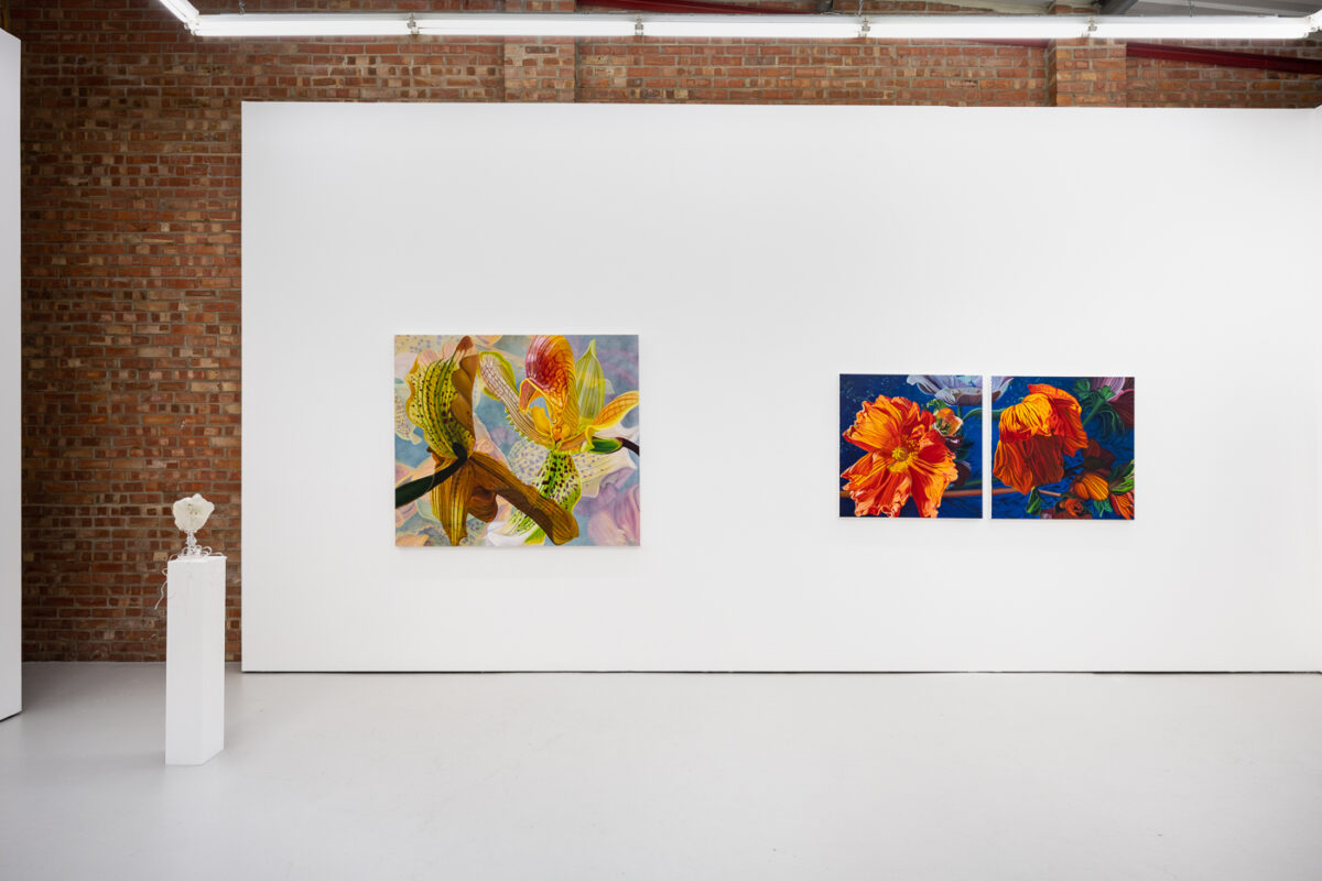 KATE BICKMORE : UNFURLING | ANNKA KULTYS GALLERY