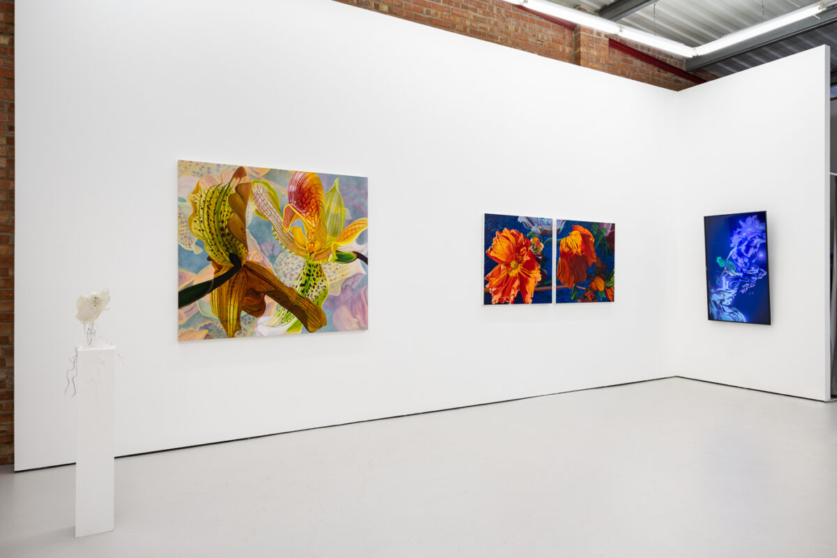 KATE BICKMORE : UNFURLING | ANNKA KULTYS GALLERY