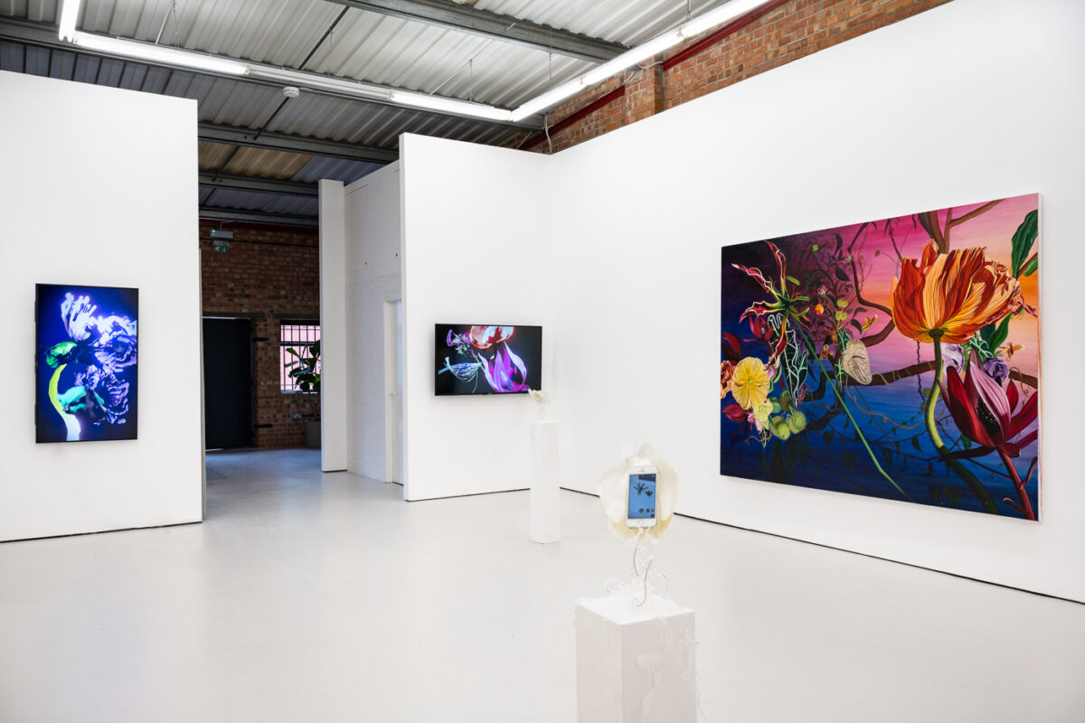 KATE BICKMORE : UNFURLING | ANNKA KULTYS GALLERY