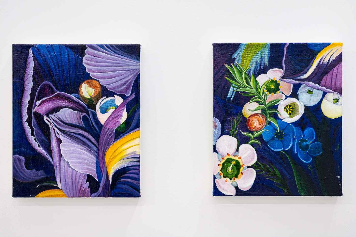 KATE BICKMORE : UNFURLING | ANNKA KULTYS GALLERY