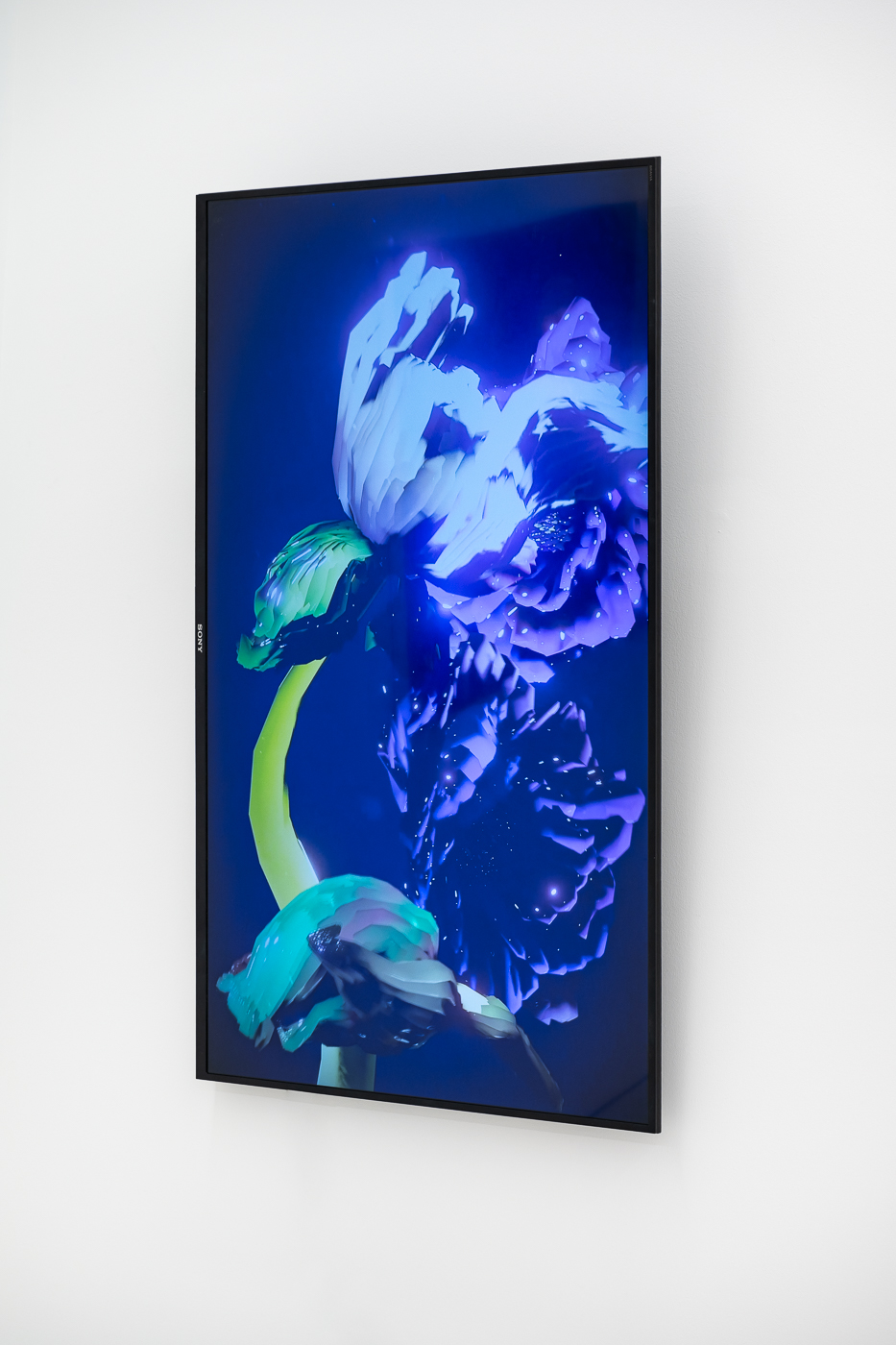 KATE BICKMORE : UNFURLING | ANNKA KULTYS GALLERY