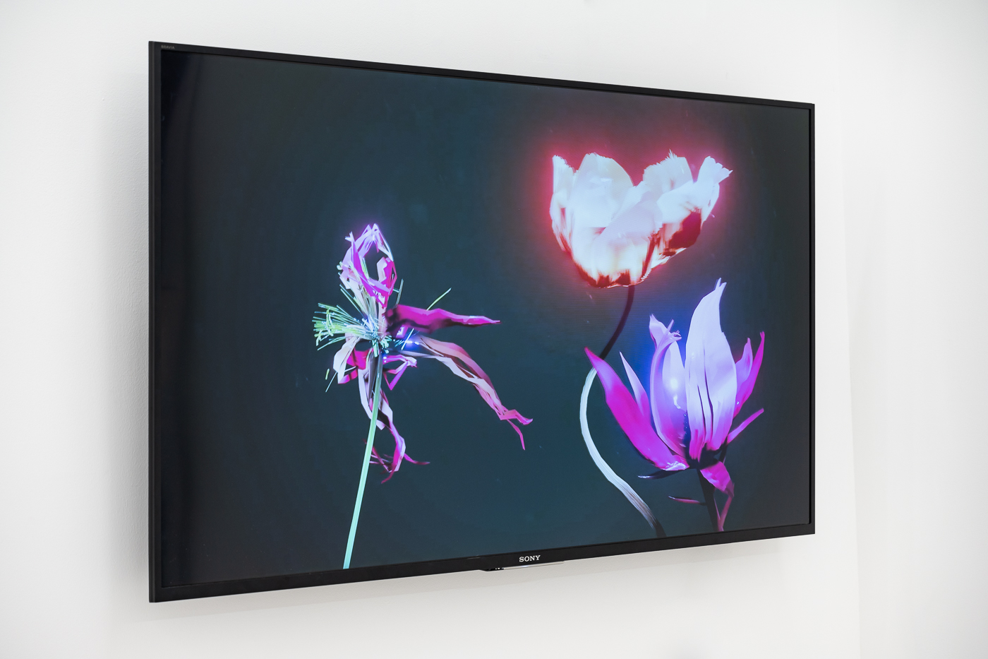 KATE BICKMORE : UNFURLING | ANNKA KULTYS GALLERY